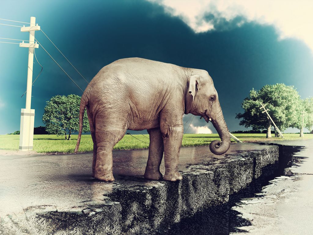 Can Animals Predict Earthquakes? | Live Science