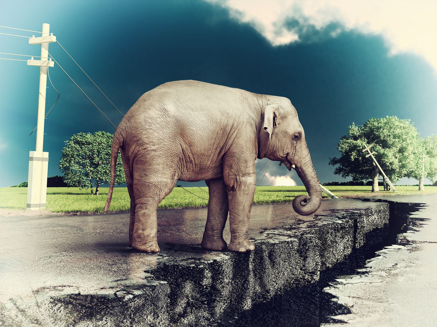 Can Animals Predict Earthquakes? | Live Science