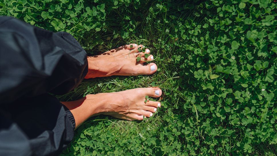 9 benefits of a clover lawn and why it’s a sustainable choice | Tom's Guide