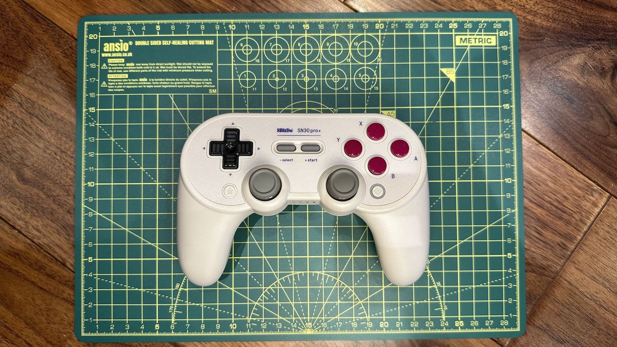 Which 8BitDo controller should you buy? Ultimate 2.4g, Lite SE, Pro 2 ...