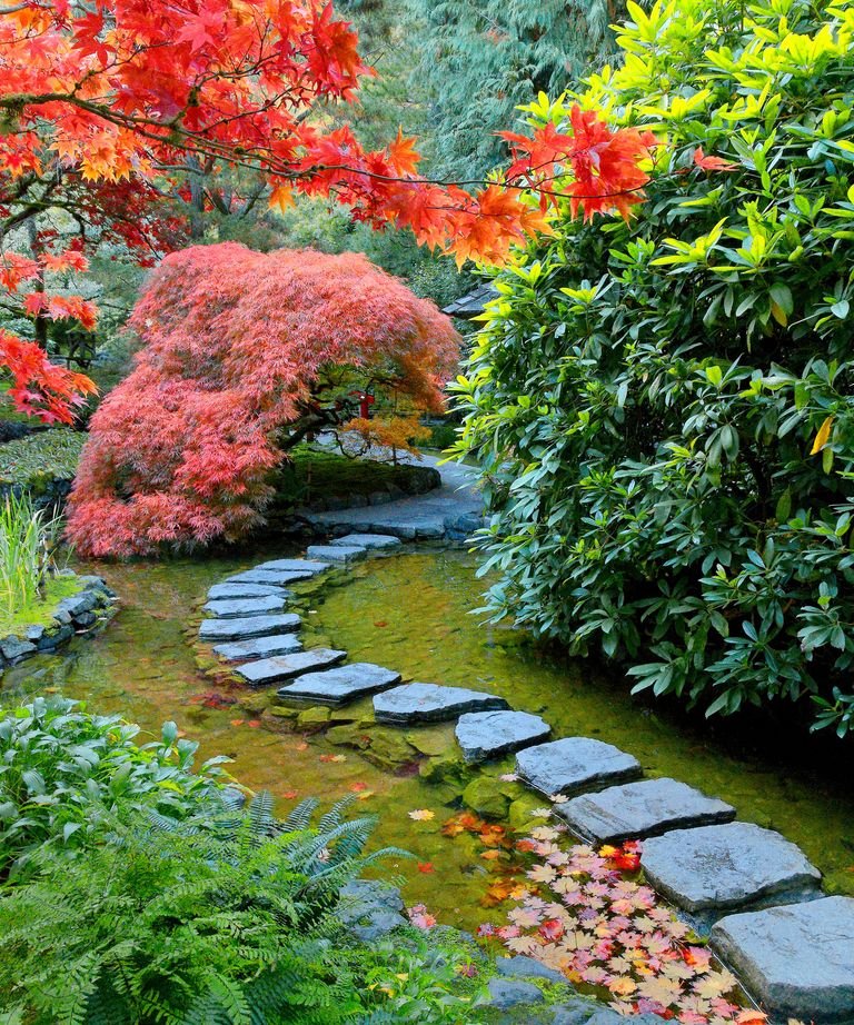 6 Feng Shui garden tips for positive vibes outside | Real Homes