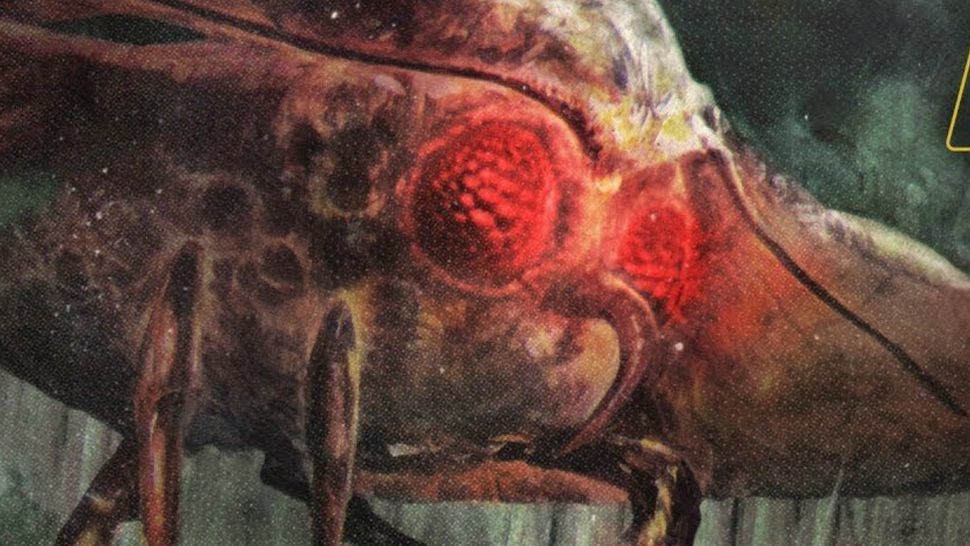 Fallout 76 Mothman: How and where to find it | GamesRadar+