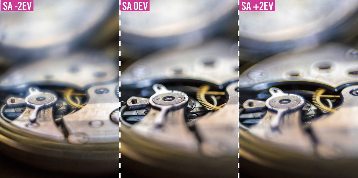 Canon RF 100mm Macro tips – master all the features of Canon's clever ...