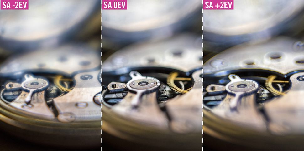 Canon RF 100mm Macro tips – master all the features of Canon's clever ...