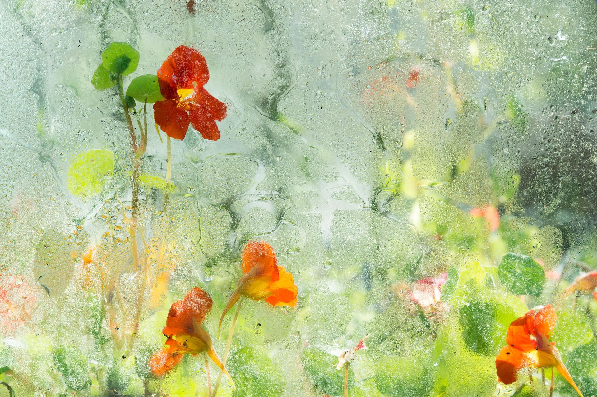 How I use a window vac to beat condensation, and my Black Friday deal ...