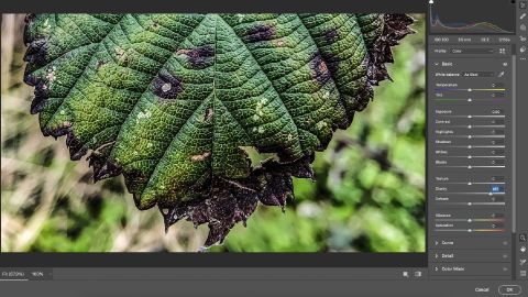 What is macro mode on your phone and how do you use it? | TechRadar