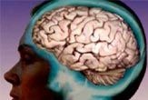 Pill Could Erase Bad Memories | Live Science