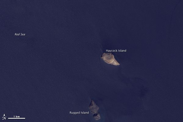 Satellite Photo Shows New Island Rising from Earth's Red Sea | Space