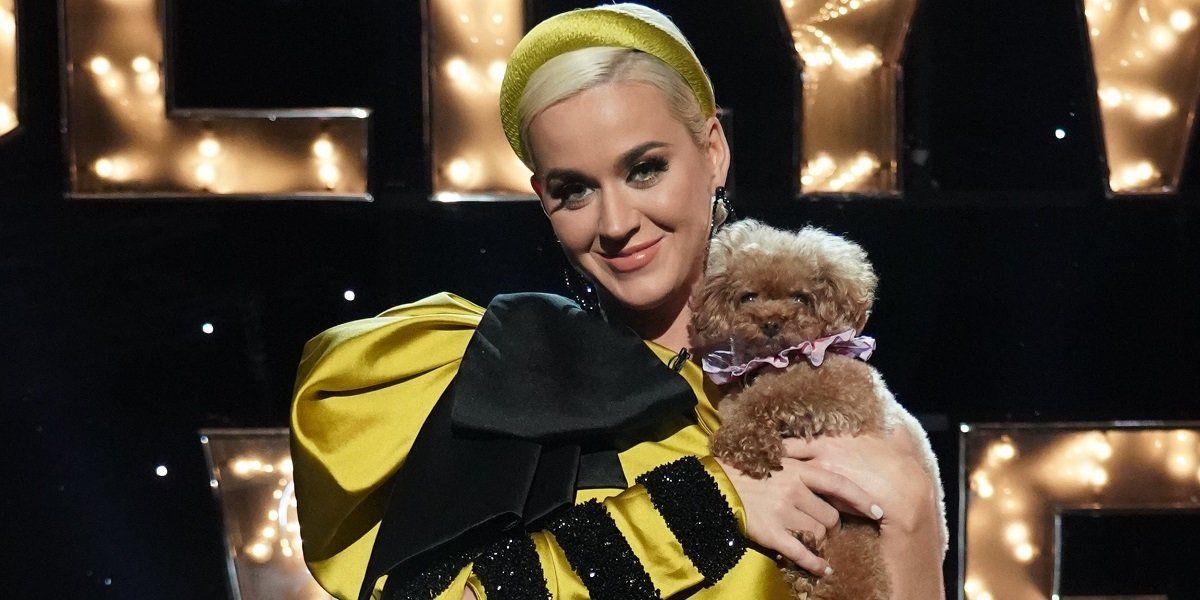American Idol's Katy Perry Updates Fans On Live Episodes While Dressed ...