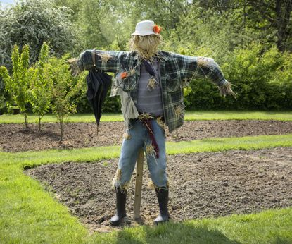 How to build a scarecrow: experts reveal the simplest method | Homes ...