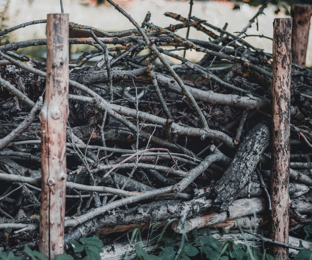 How to build a dead hedge: A step-by-step guide | Homebuilding