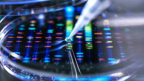 Genomes of 51 animal species mapped in record time, creating ...