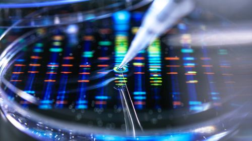 Evolution - News and Scientific Articles on Live Science | Live Science