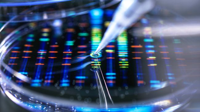 Genomes of 51 animal species mapped in record time, creating ...