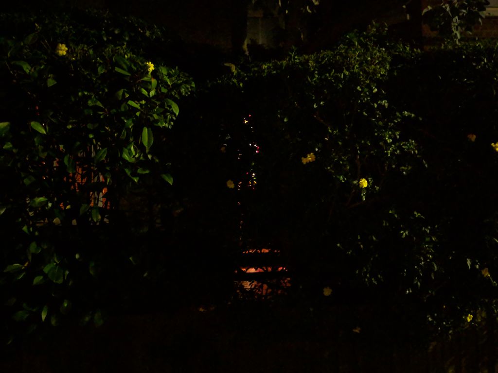Google Pixel Night Sight review: a superb camera upgrade | Digital ...