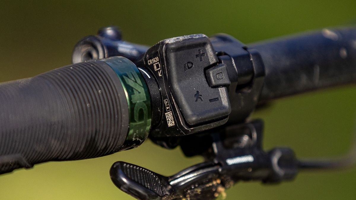 Canyon Strive:ON CFR review | Bike Perfect