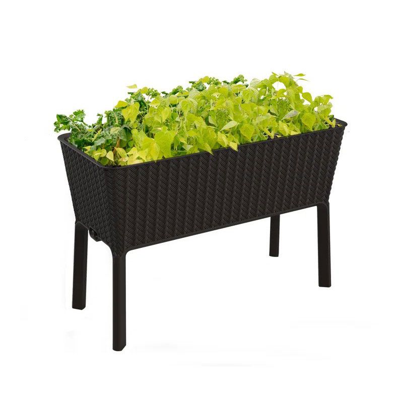 ALDI's $35 raised bed planter for small gardens is back in stock for ...