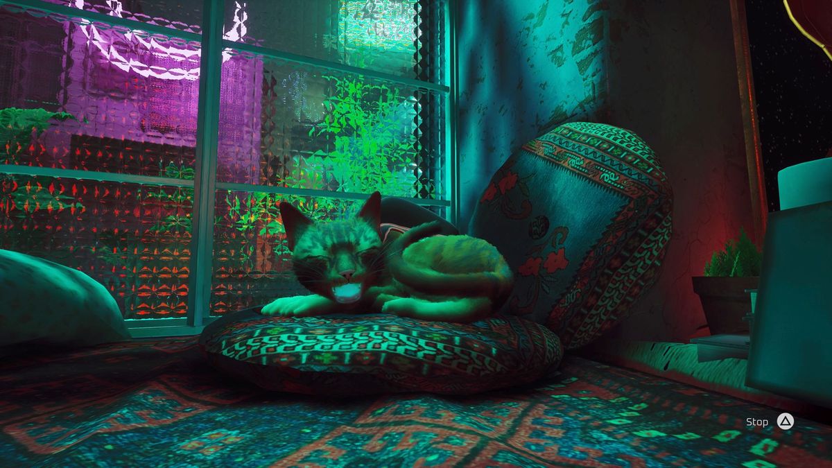 Stray is at its best when you're doing nothing at all | TechRadar