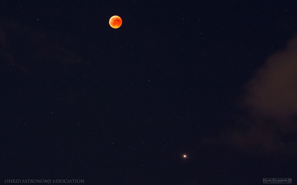 Stargazers See Red: 'Blood Moon' Eclipse Meets Mars in Gorgeous Night ...