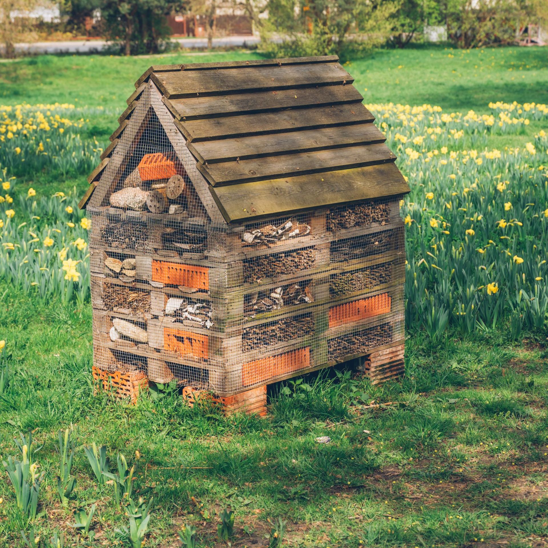 How to make a bug hotel: a step-by-step expert guide | Ideal Home
