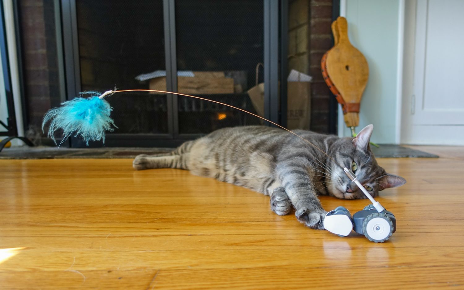 Petronics Mousr Review: Is This Smart Toy the Cat's Meow? | Tom's Guide