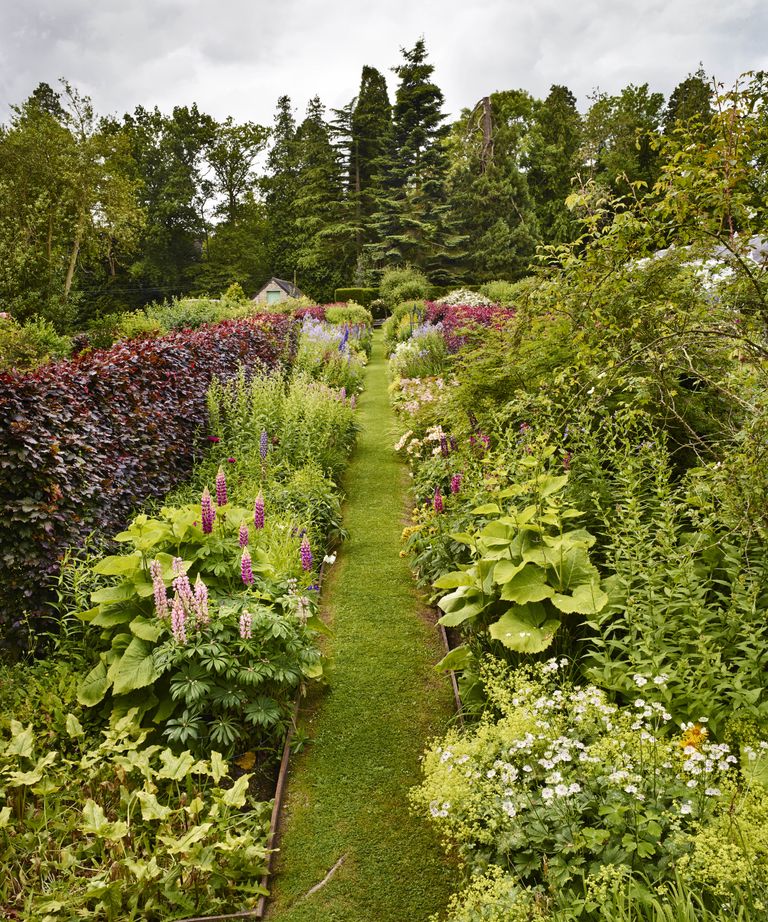 Monty Don warns against cutting grass – for compelling reasons | Homes ...