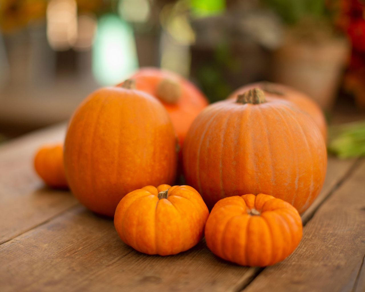 How to stop pumpkins from rotting: expert tips to keep them looking ...