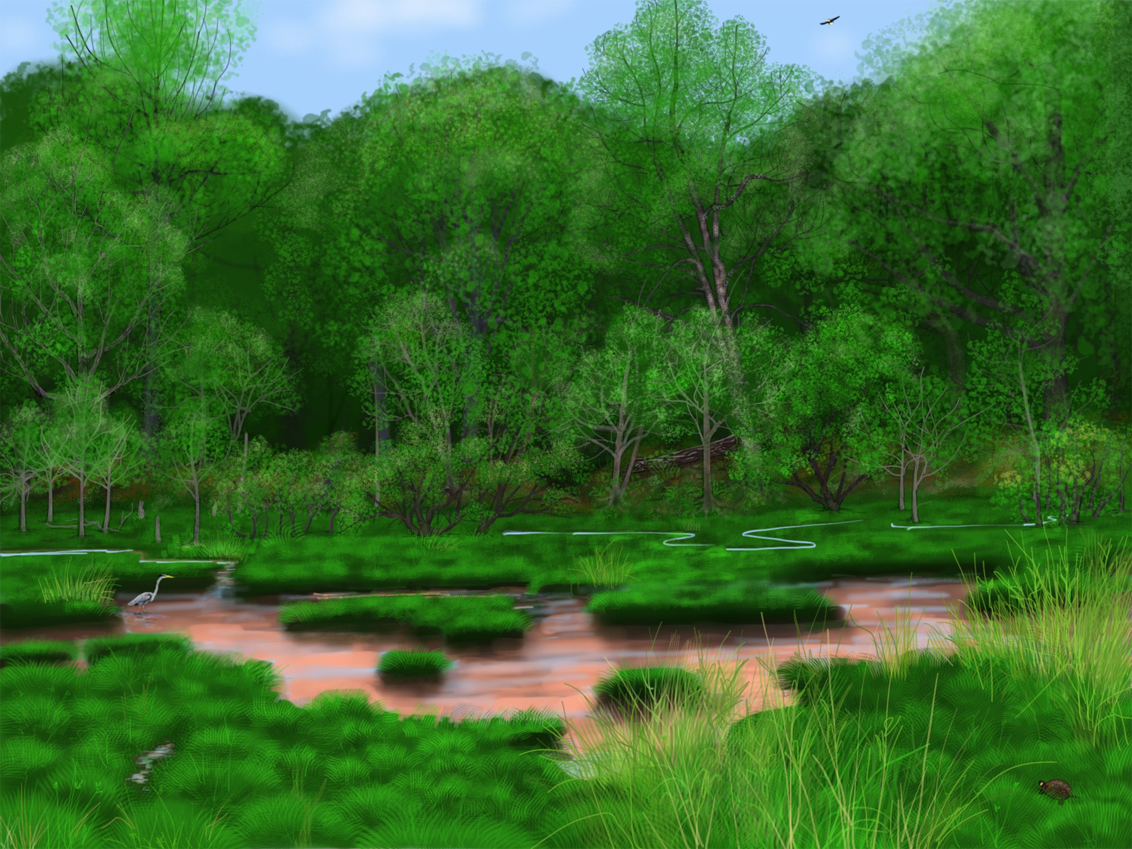 What America's Forests Looked Like Before Europeans Arrived | Live Science