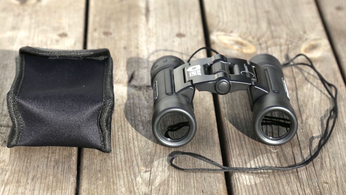 Celestron EclipSmart 10x25mm roof solar binoculars review | Space