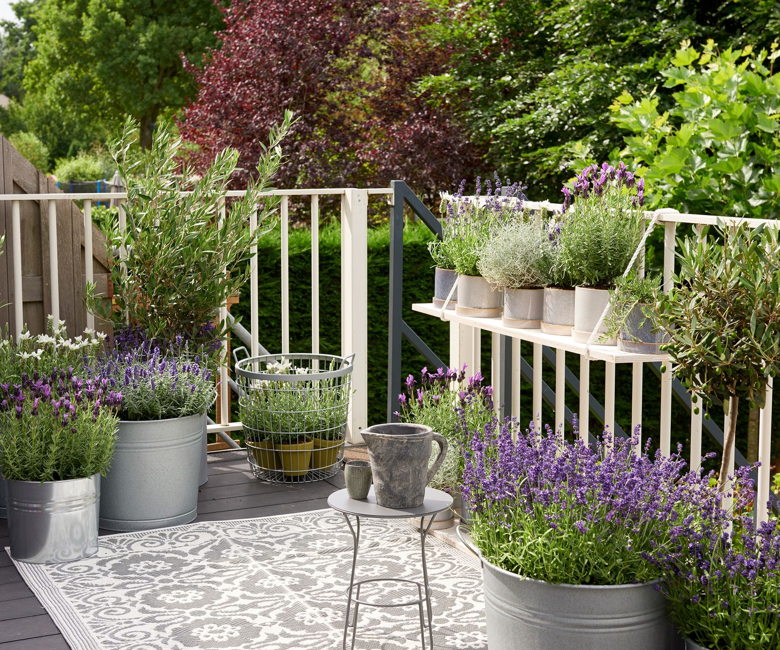 Dog-friendly backyard ideas: 10 looks for a fun, safe space | Homes and ...