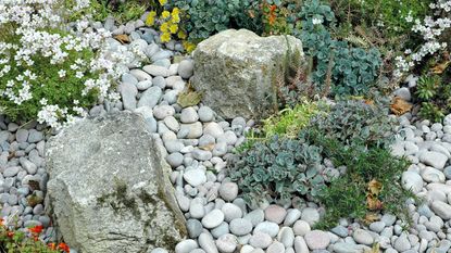 Rock garden ideas – 10 DIY ways to create a rockery | Real Homes