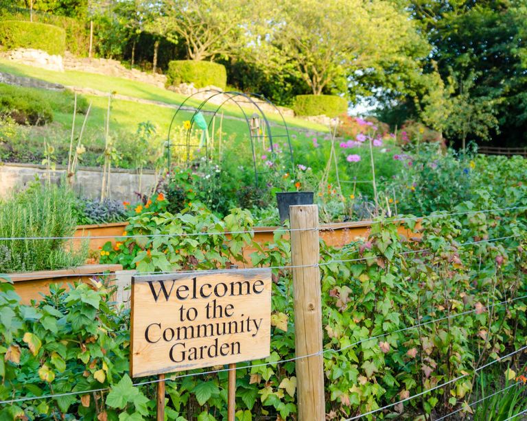 Community gardening: growing greener spaces together | Gardeningetc