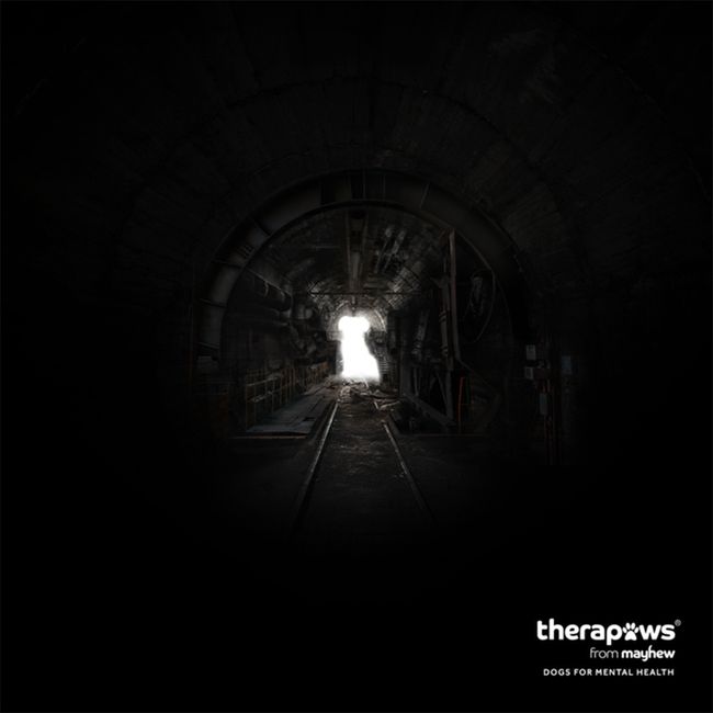 Powerful animal charity ads illuminate the healing power of pets ...
