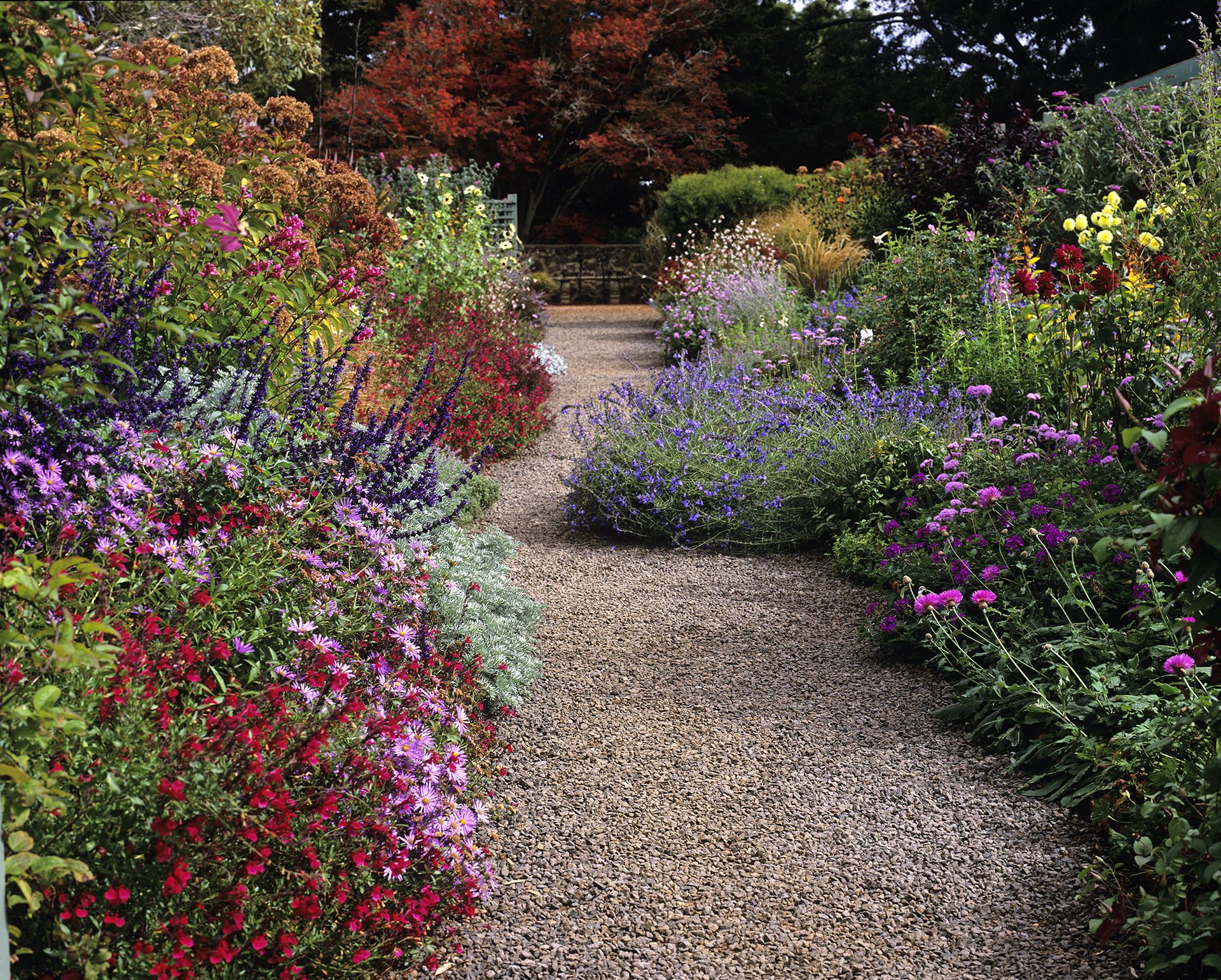 How to protect plants from heavy rain: expert advice | Homes and Gardens