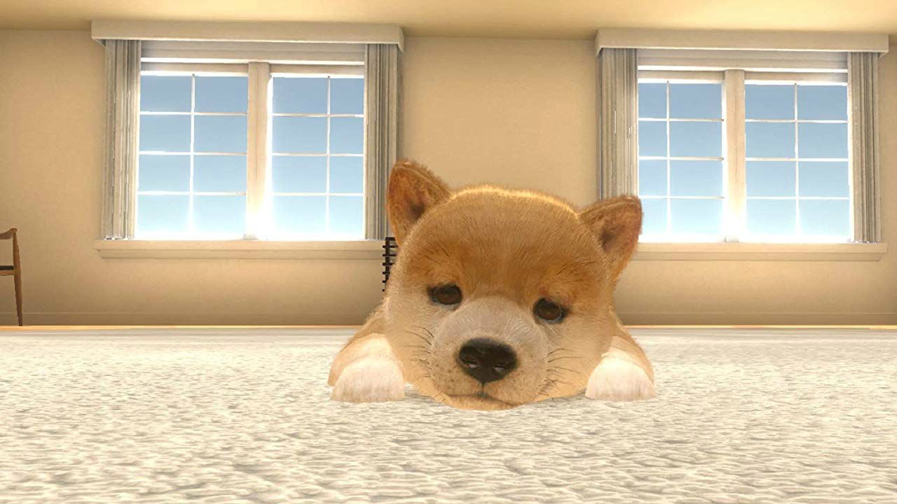 Puppies! A spiritual successor to Nintendogs is coming to Nintendo ...