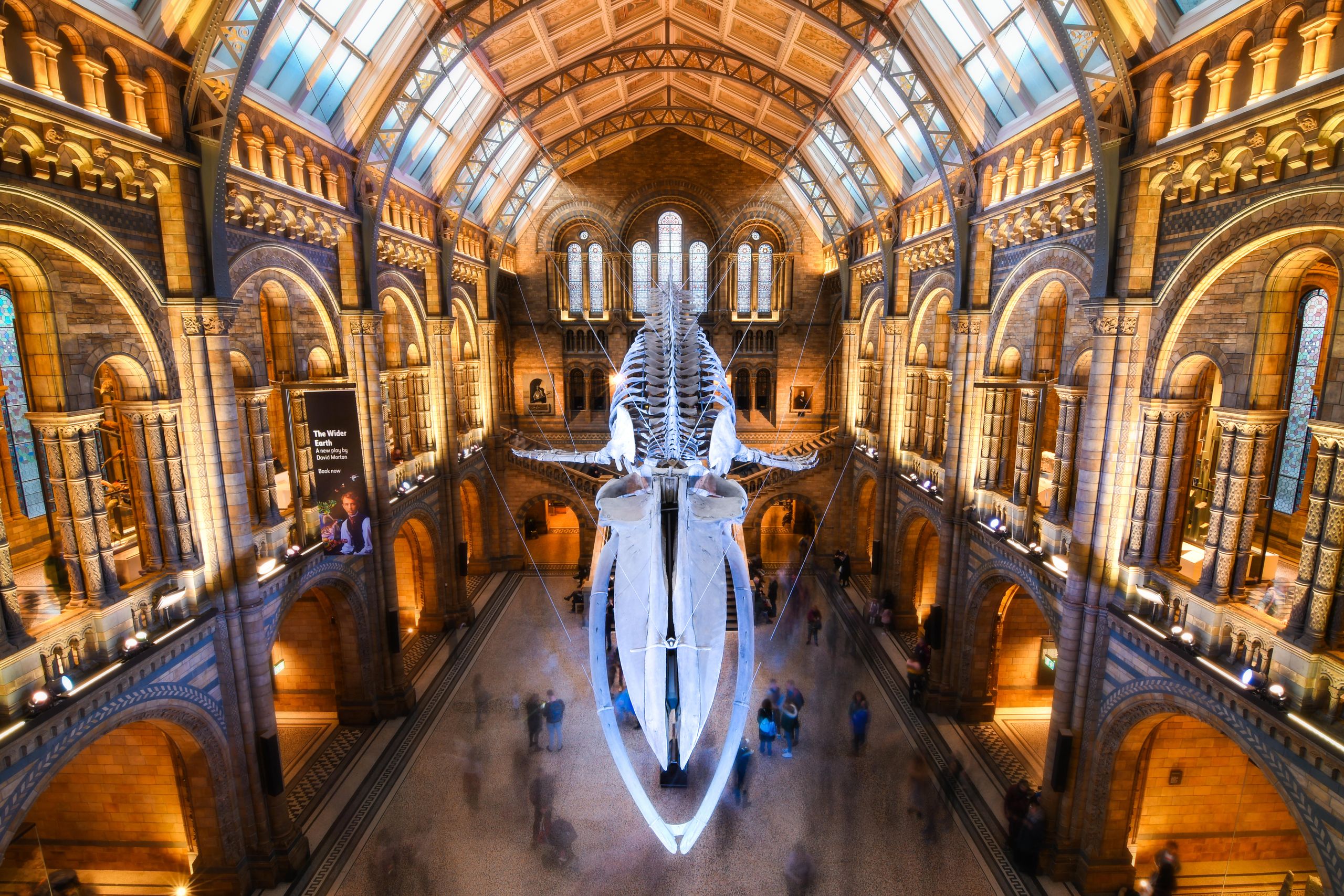 Athena: We need to get serious about saving our museums | Country Life