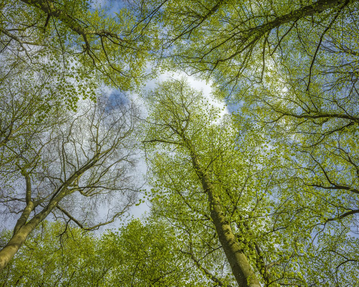 This is what photos from a $6000 compact camera look like… | Digital ...