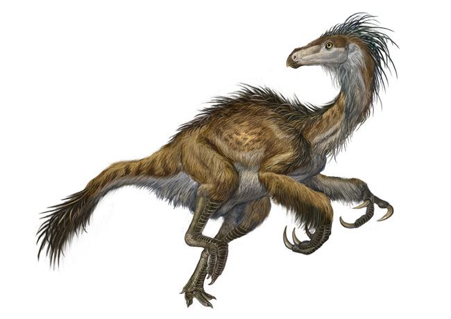 Avian Ancestors: Dinosaurs That Learned to Fly | Live Science