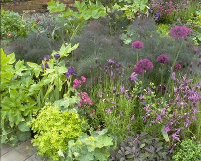 6 Ways The Goth Garden Trend Is Sophisticated & Sustainable | Gardening ...