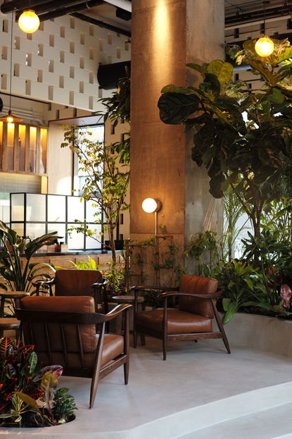 An indoor garden blooms inside a new Brooklyn coffee shop | Wallpaper*