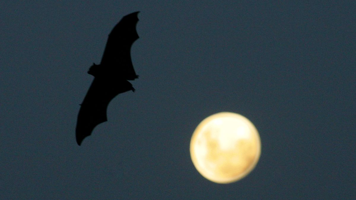 10 ways to get your goth on for World Goth Day | Louder