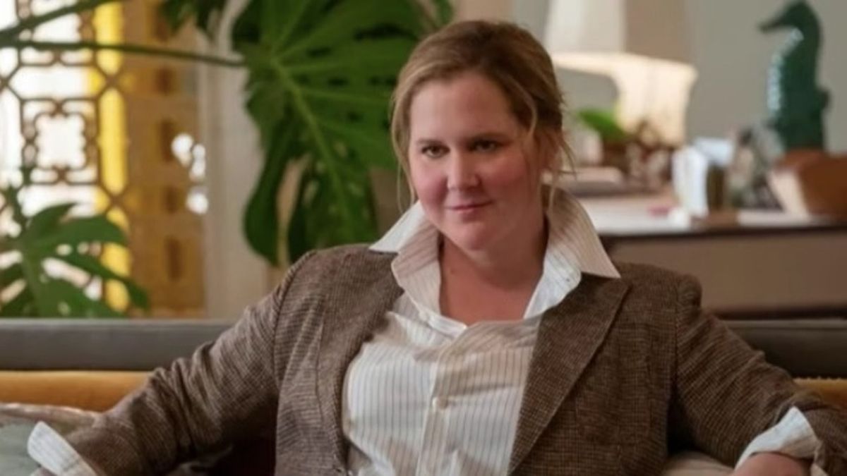 32 Hilarious Amy Schumer Lines From Her Movies, TV Show And Stand-Up ...