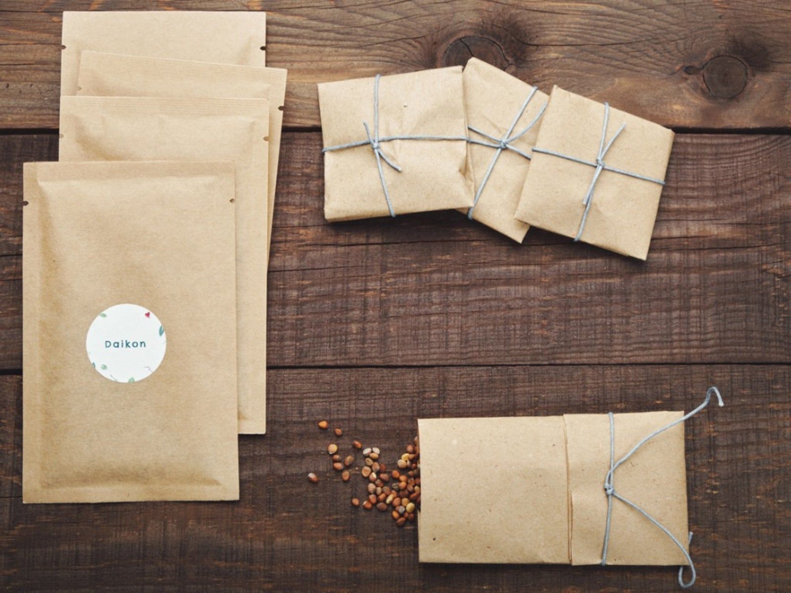 Seed Packet Labels - Tips For Understanding Seed Packet Info ...