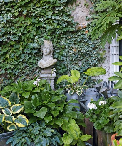 6 Ways The Goth Garden Trend Is Sophisticated & Sustainable | Gardening ...