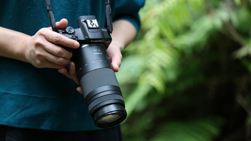 Canon Extender RF 1.4x review: a revamped teleconverter for the EOS R ...