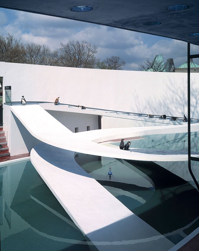 Come on in, the water’s lovely: Why we all love a lido | Country Life