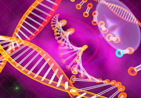 Unraveling the Human Genome: 6 Molecular Milestones | Live Science