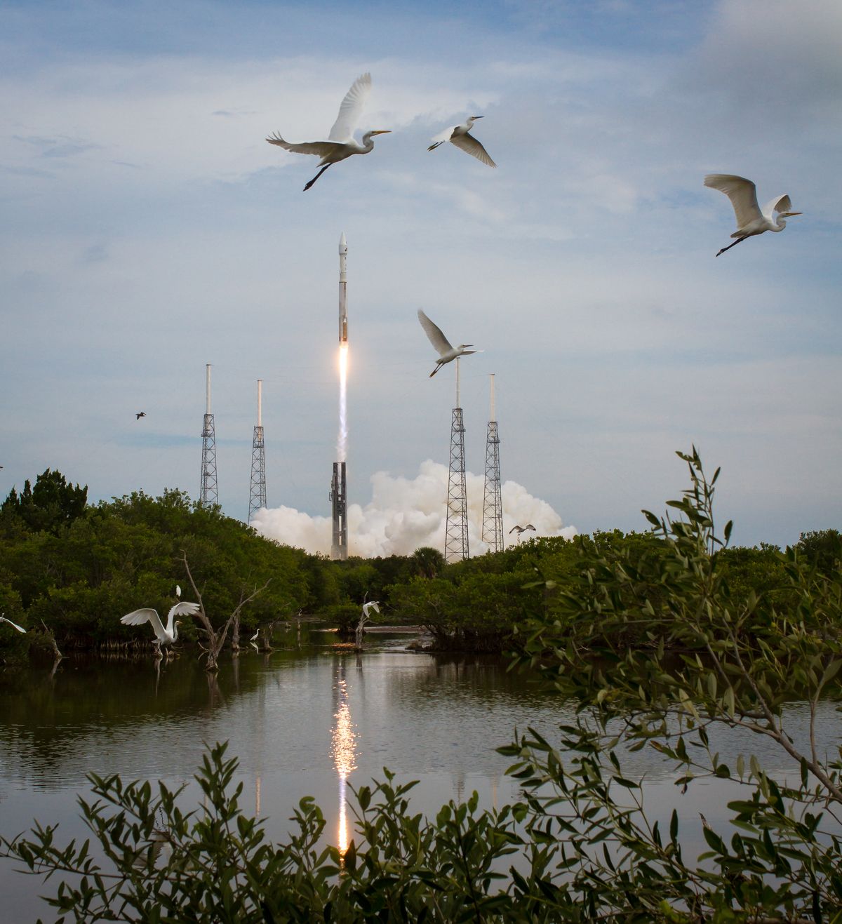 MAVEN Launch Photos: NASA Mars Orbiter Launches Toward Red Planet | Space