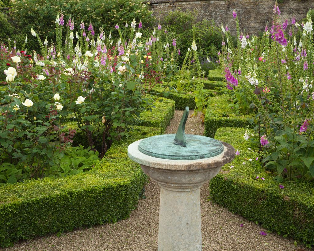 Topiary: a practical guide to this must-have garden trend | Gardeningetc