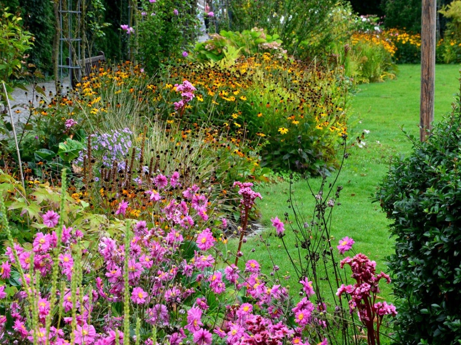 Types Of Flowers That Bloom Late Summer | Gardening Know How